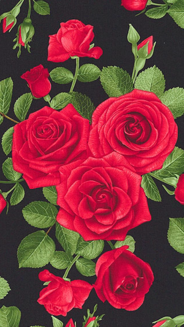 100 Wallpaper de Rosas Hermosas | Fondos de Pantalla