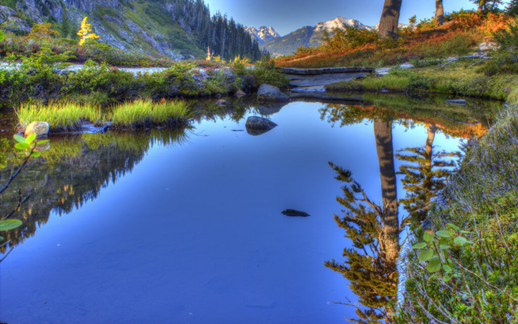 100+ Fondos de Pantalla de Ríos ¡Increíbles! ️