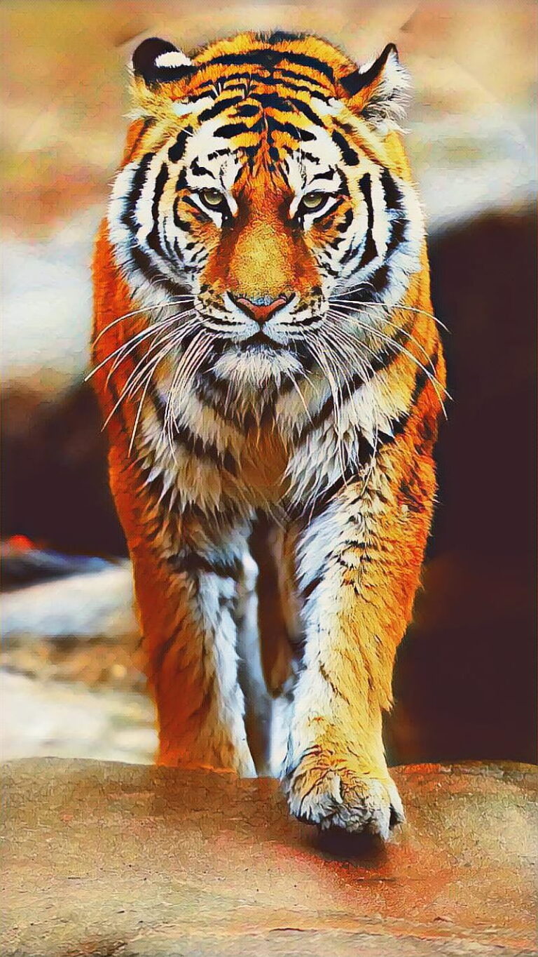 100+ Fondos de Pantalla de Tigres ¡Increíbles! ️